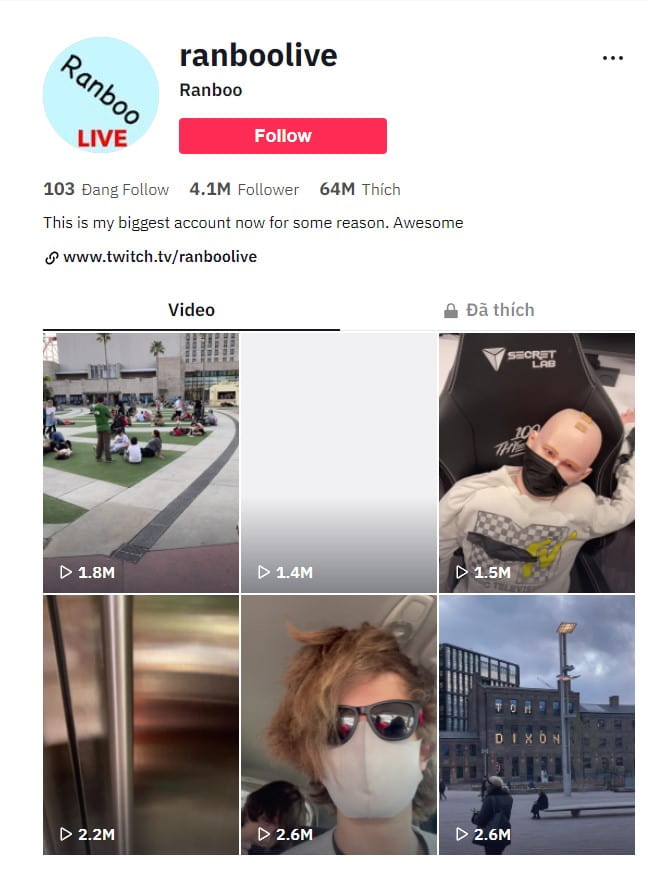 Why is Ranboo Twitch so popular in 2021?