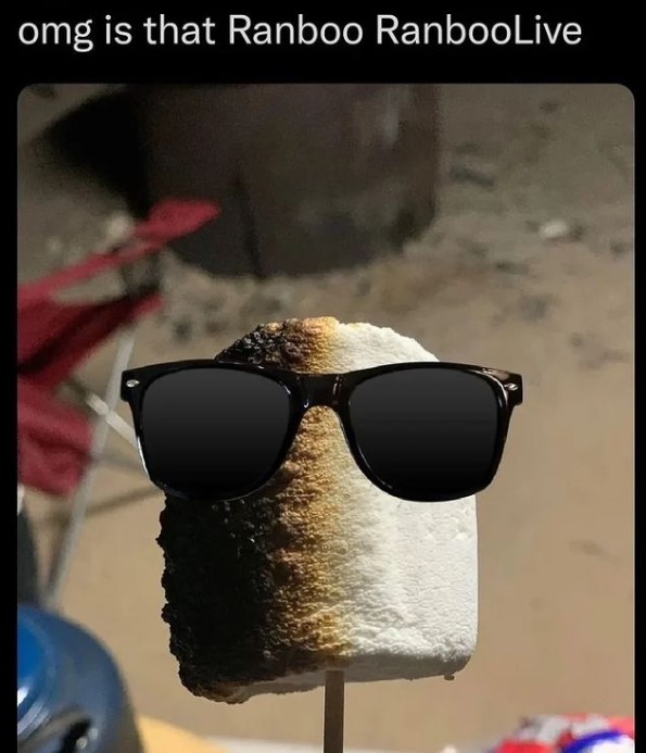 12 Super Ranboo Memes Ideas That Will Make Your Day