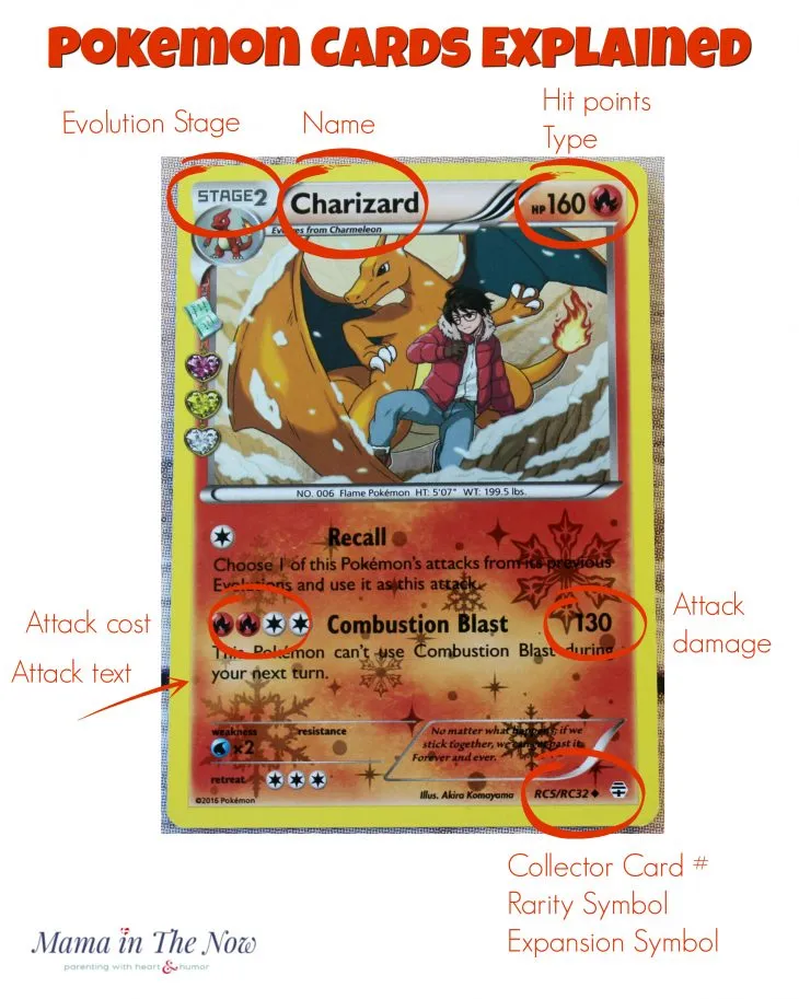 Decoding The Magic: How Does Pokémon Cards Work?